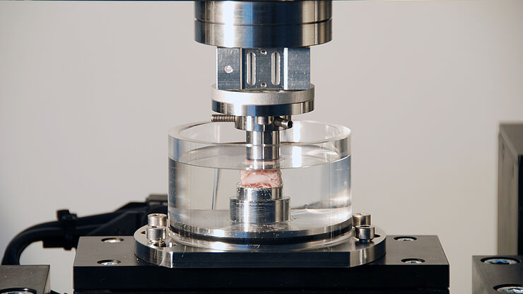 Biaxial and triaxial testing of biomaterials | ZwickRoell