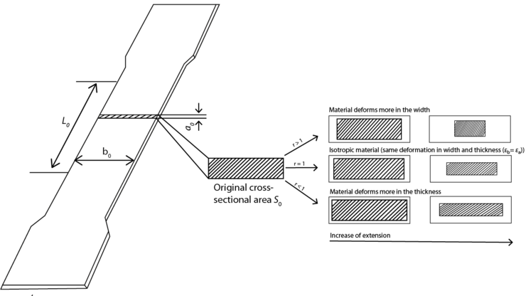 ISO 10113： 测定r值/垂直各向异性 | ZwickRoell