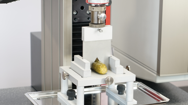 Texture analysis of food | ZwickRoell